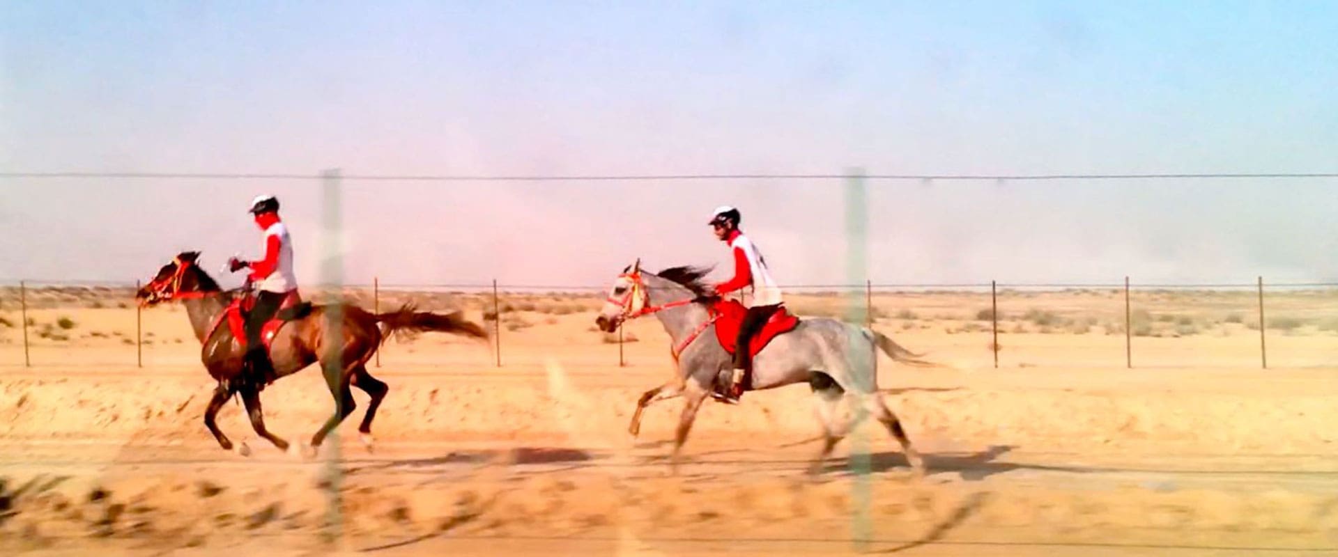 DuraTrack New Technology for Dirt Horse Racing Tracks